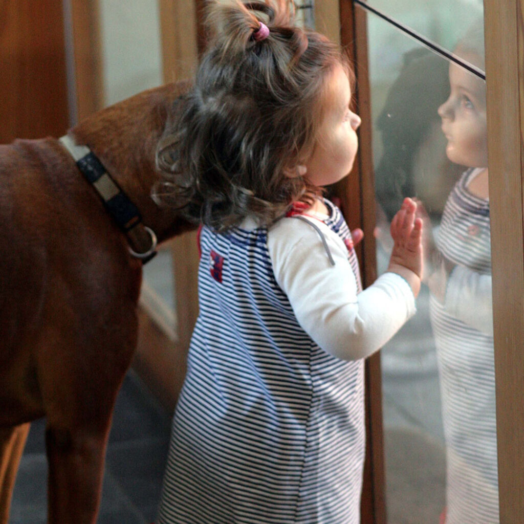 What a Pet Can Teach Your Preschooler - Lil' Rascals Academy