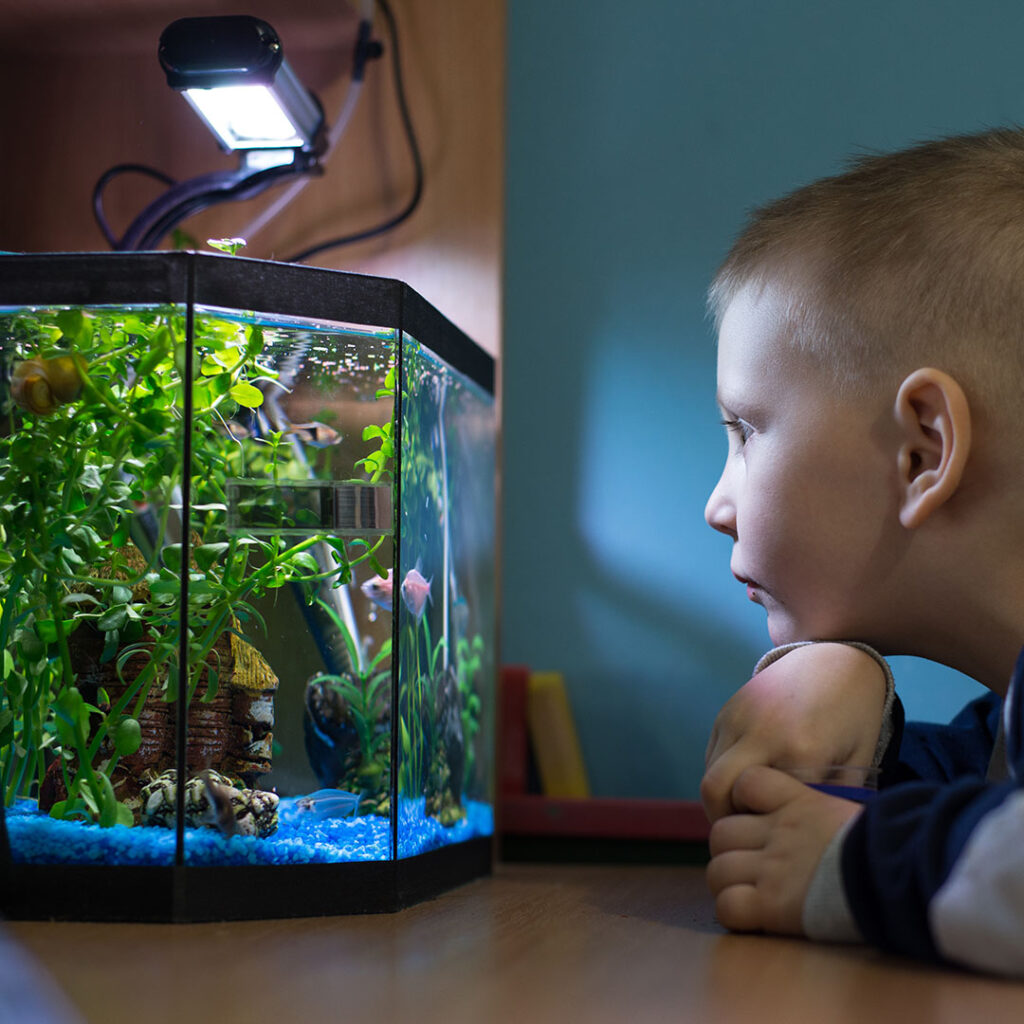 What a Pet Can Teach Your Preschooler - Lil' Rascals Academy