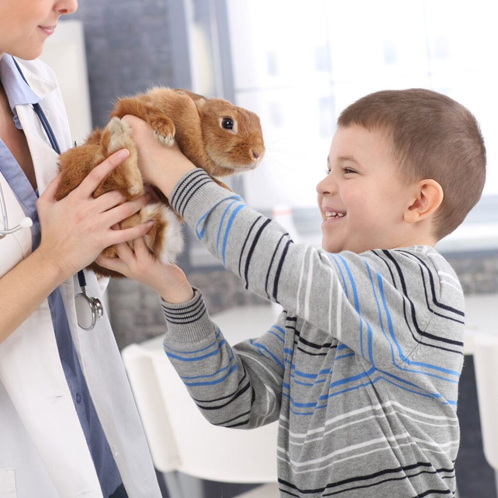 What a Pet Can Teach Your Preschooler - Lil' Rascals Academy